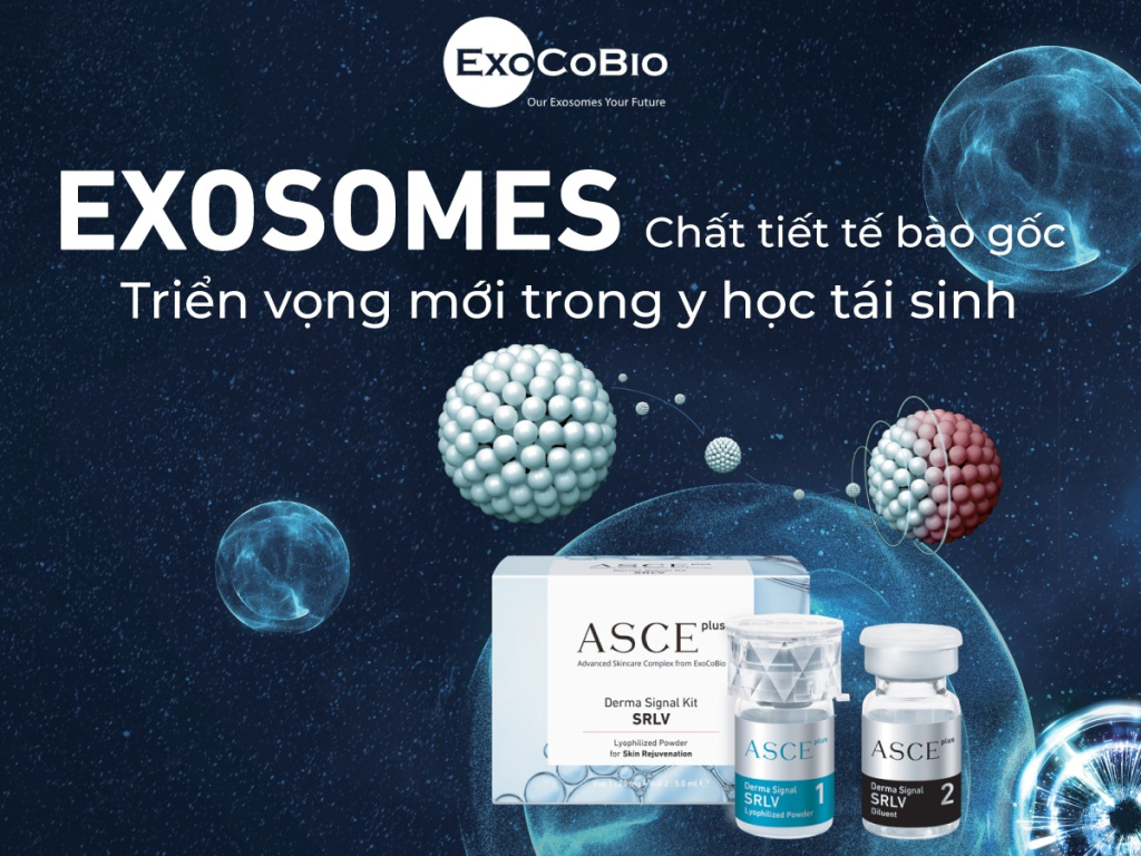 EXOSOME ASCE+ DERMA SIGNAL KIT KHẮC PHỤC LÃO HÓA DA