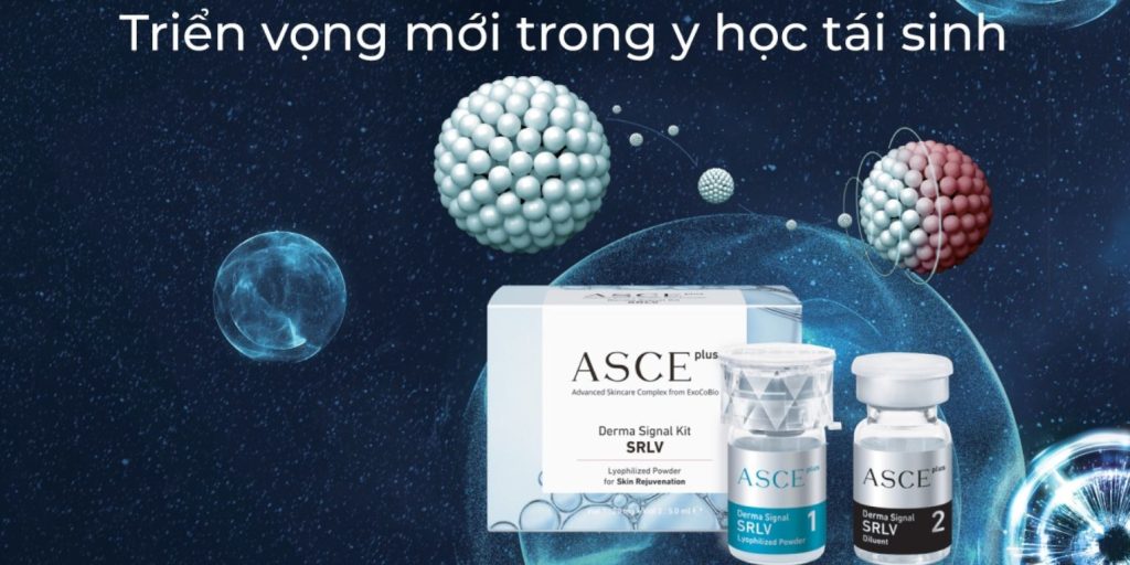 TÁI TẠO LÀN DA, TẠM BIỆT LÃO HÓA VỚI TẾ BÀO GỐC EXOSOME ASCE+ DERMA ...