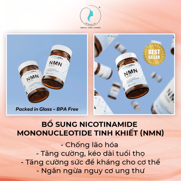 Thực phẩm bổ sung Nicotinamide Mononucleotide AlphaCell Labs NMN 500mg ...